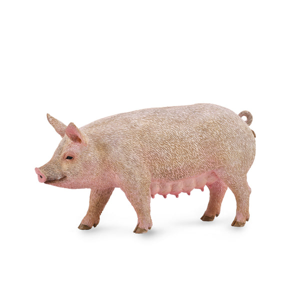 COLLECTA - PIG SOW | Toyworld Frankston
