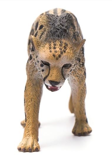 COLLECTA - KING CHEETAH (L) | Toyworld Frankston