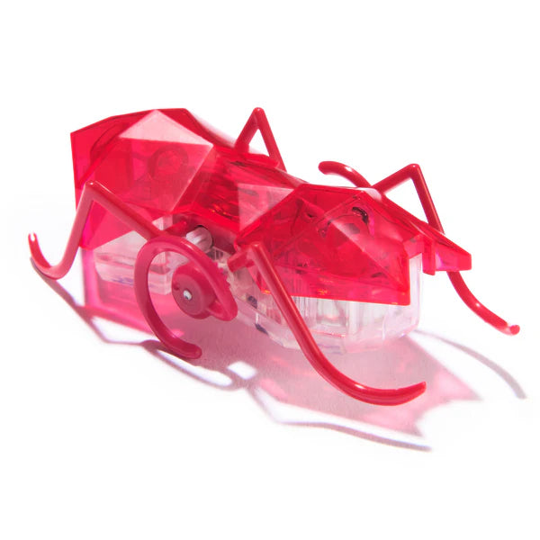 HEX BOTS - MICRO ANT RED | Toyworld Frankston